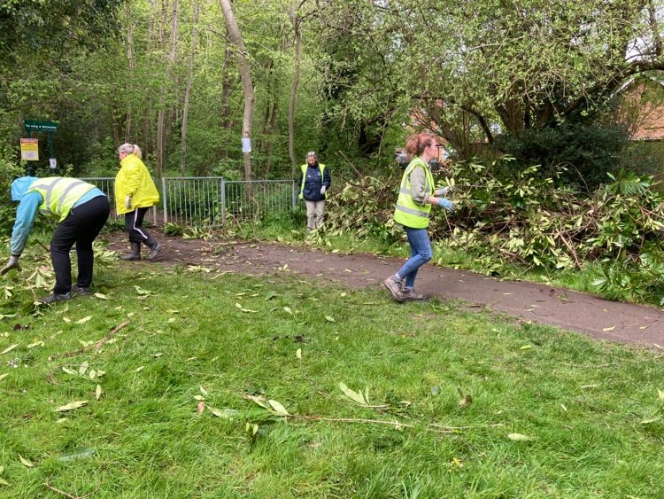 Conservation Report – May – Friends of Fox Hill