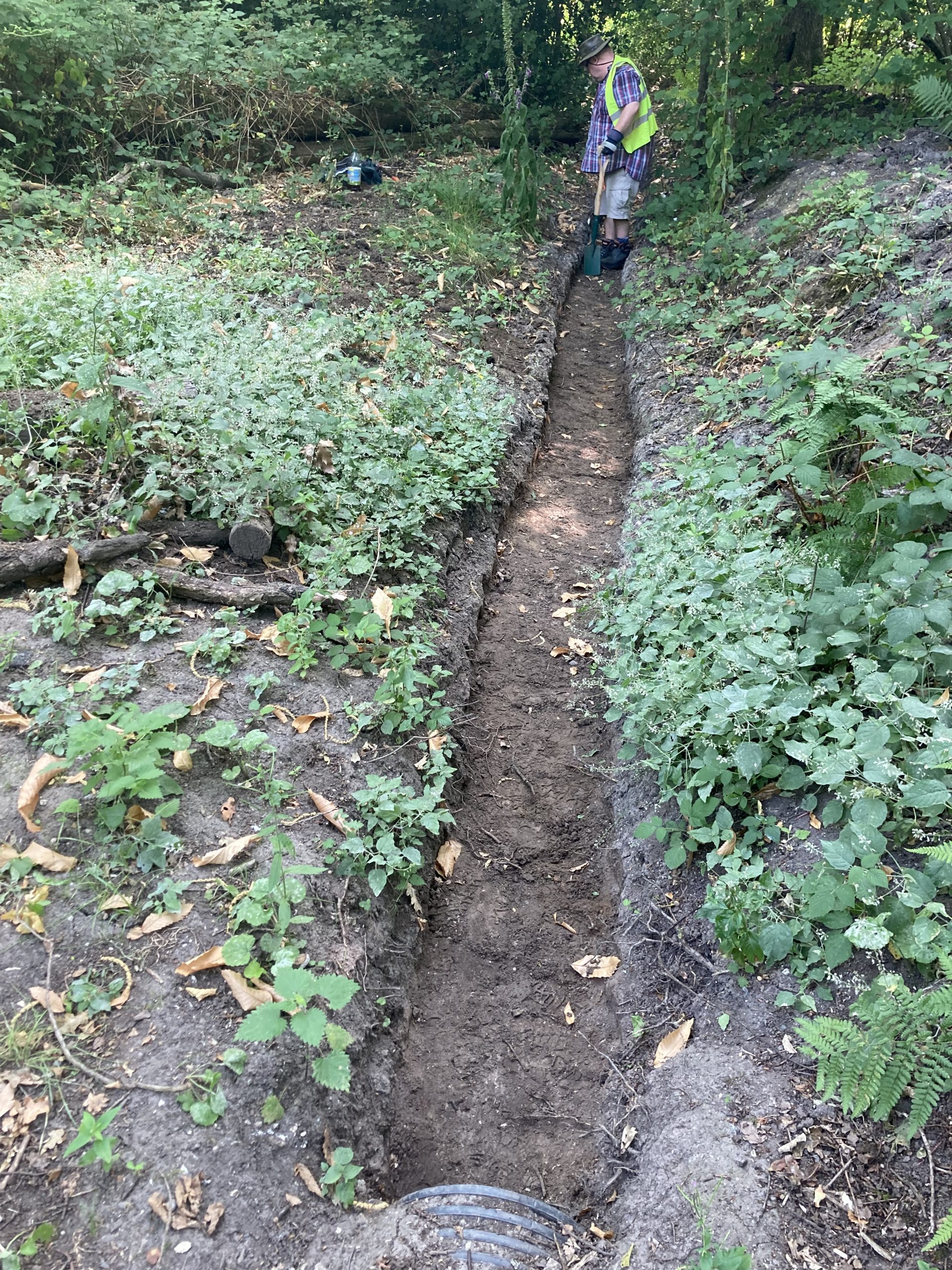 Conservation Report – July 2022 – Friends of Fox Hill