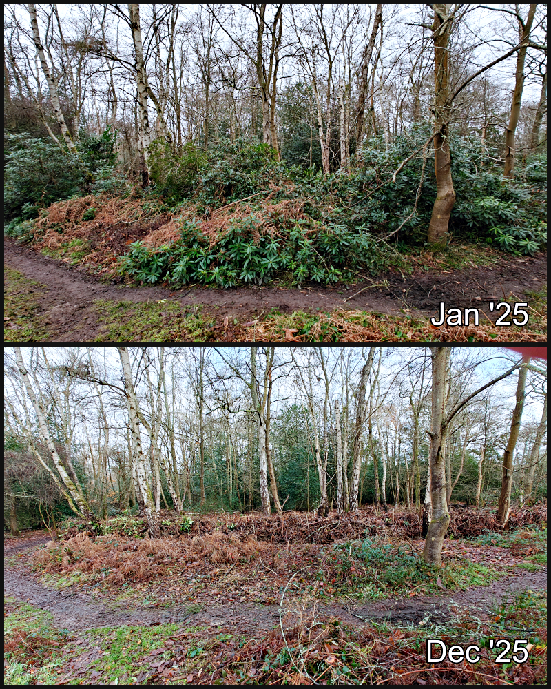 Fox Hill Photos 2025 – Friends of Fox Hill